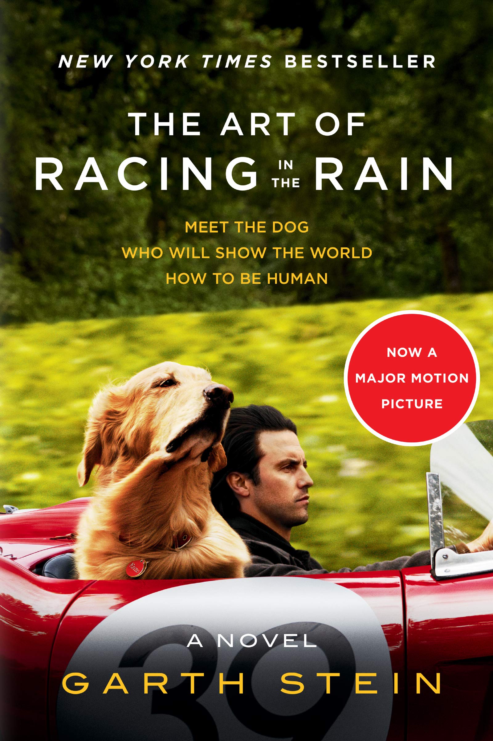 The Art of Racing in the Rain | Green Valley Book Fair