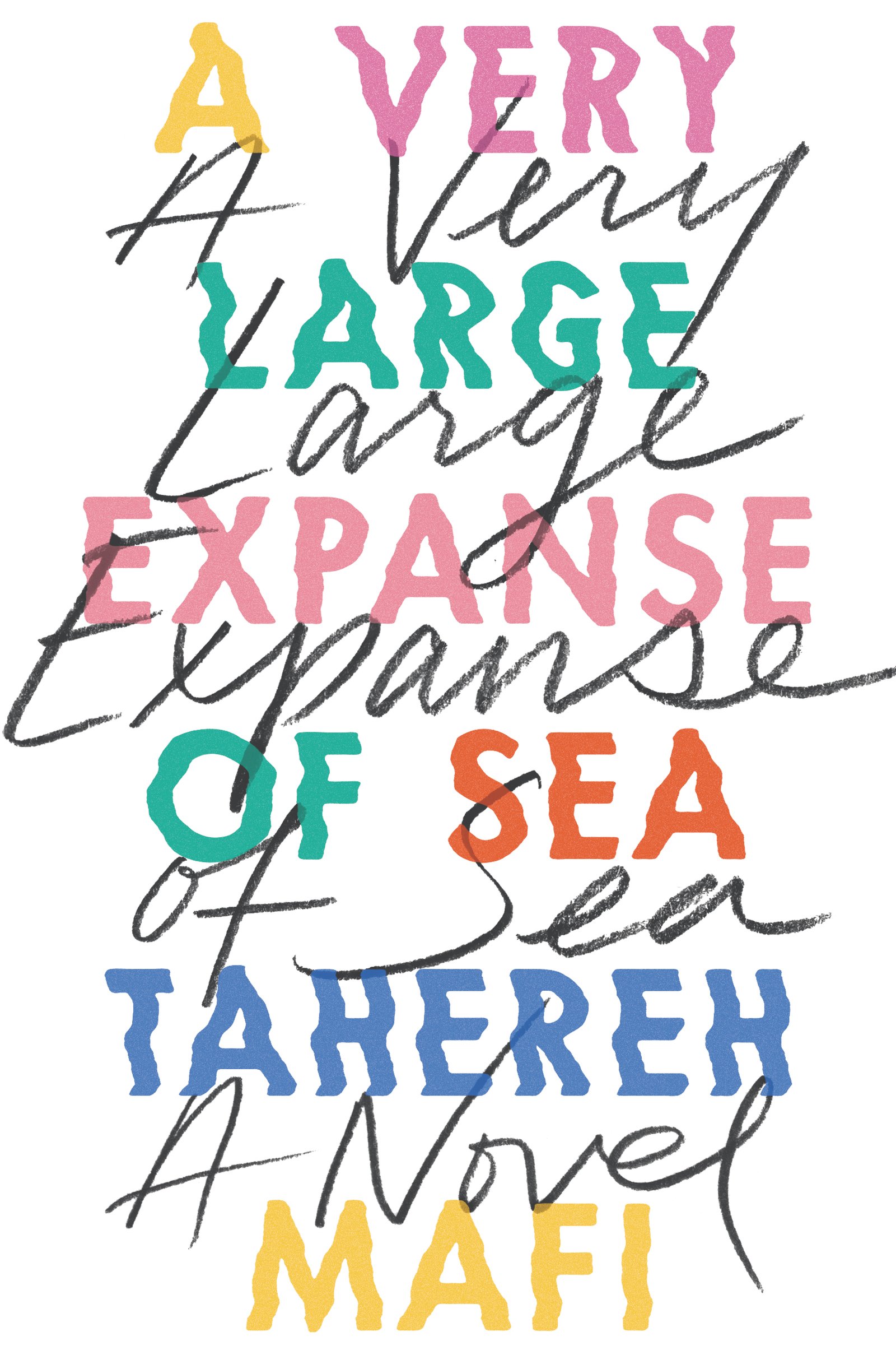 A Very Large Expanse of Sea | Green Valley Book Fair