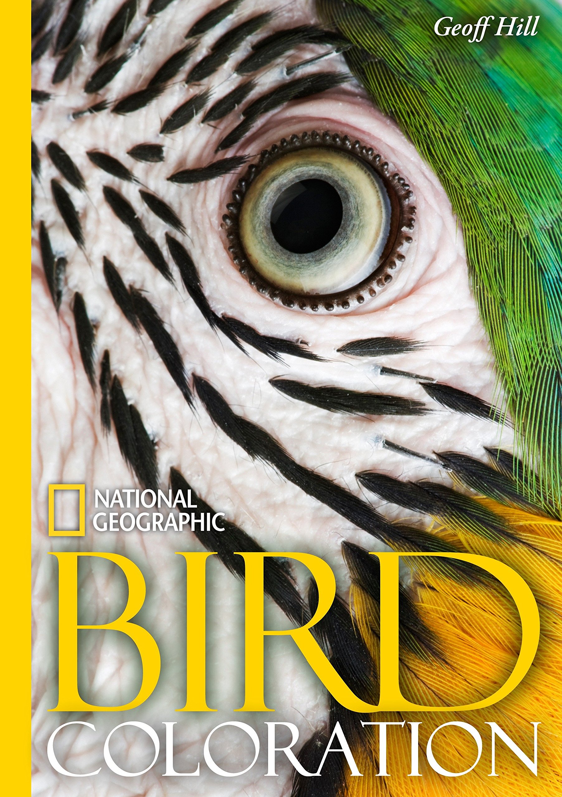 Bird Coloration | Green Valley Book Fair