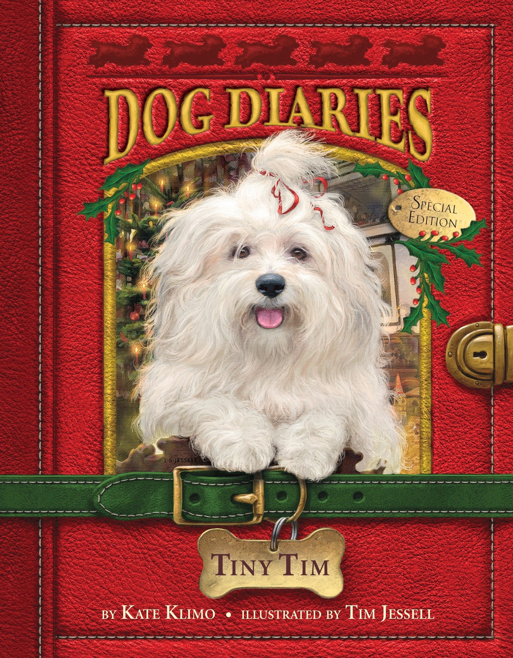 Dog Diaries - Tiny Tim Book 11: Dog Diaries Book 11 | Green Valley Book ...