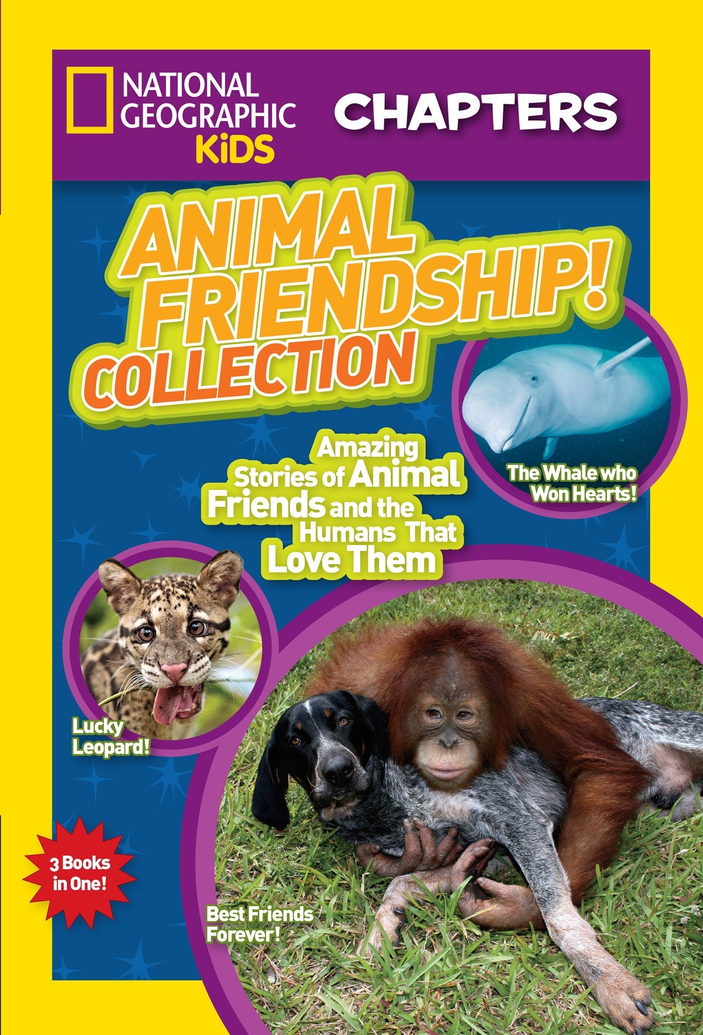 National Geographic Kids Chapters - Animal Friendship! Collection ...