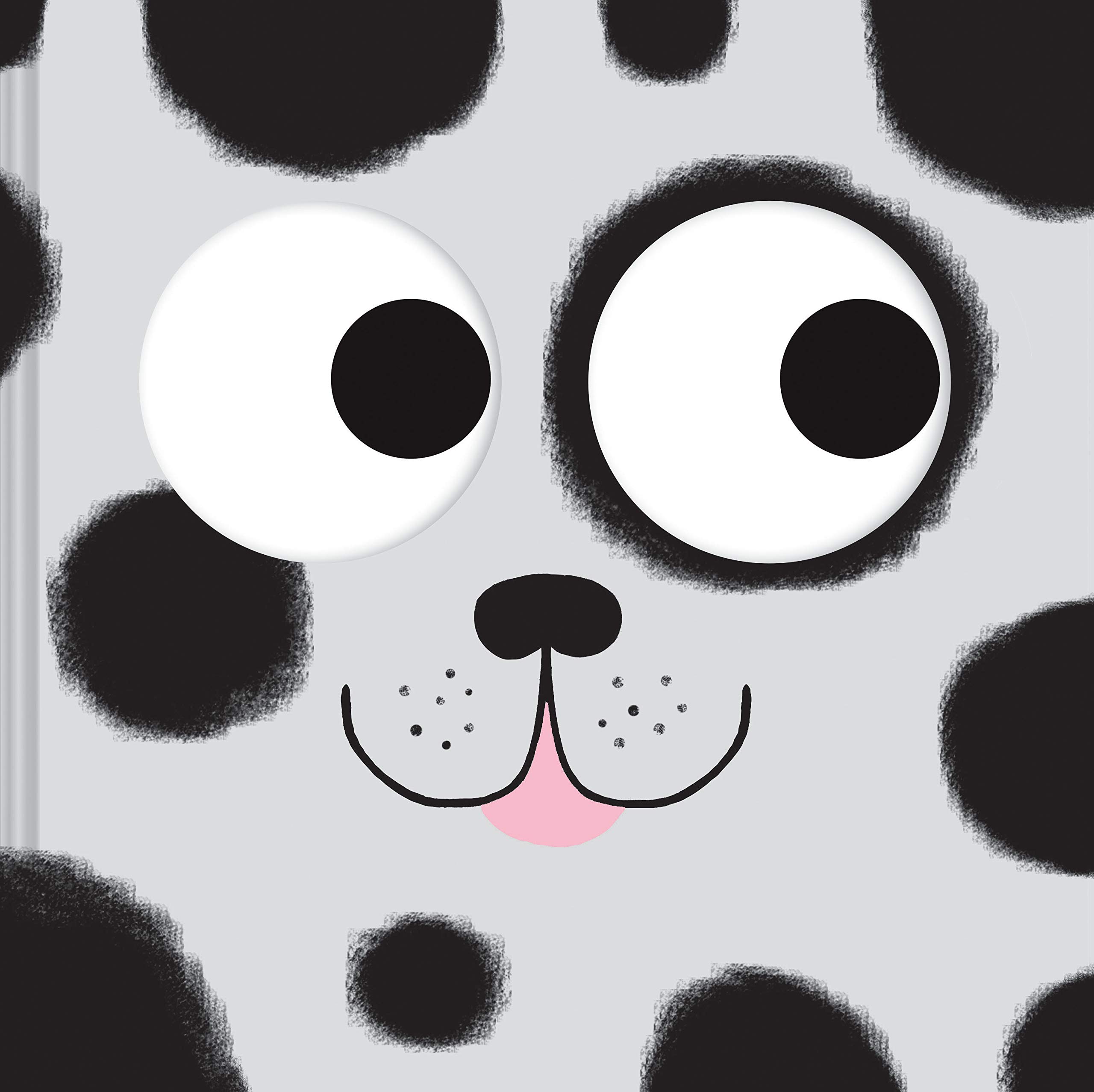 Catch Me A Sneak-and-Find | Green Valley Book Fair