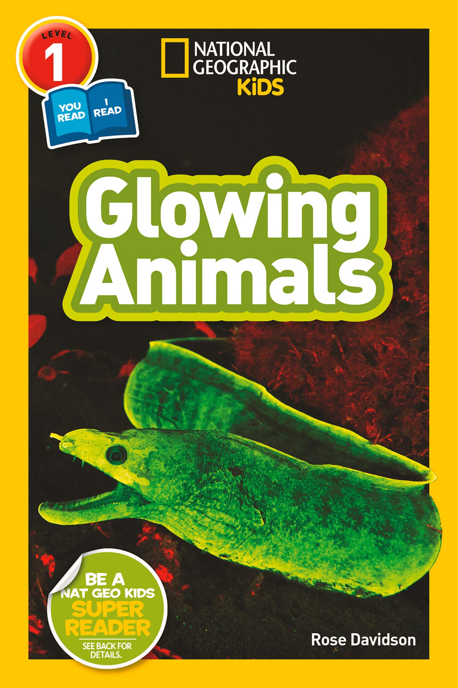 Glowing Animals: Level 1 | Green Valley Book Fair