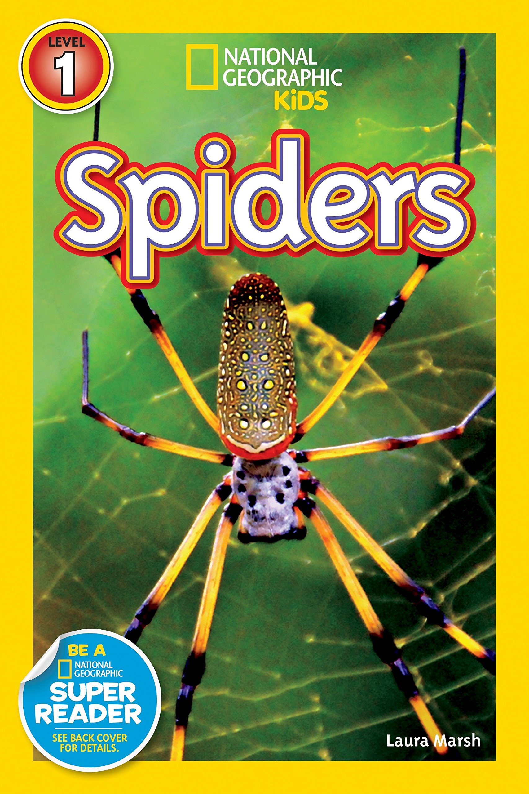 Spiders: Level 1 | Green Valley Book Fair