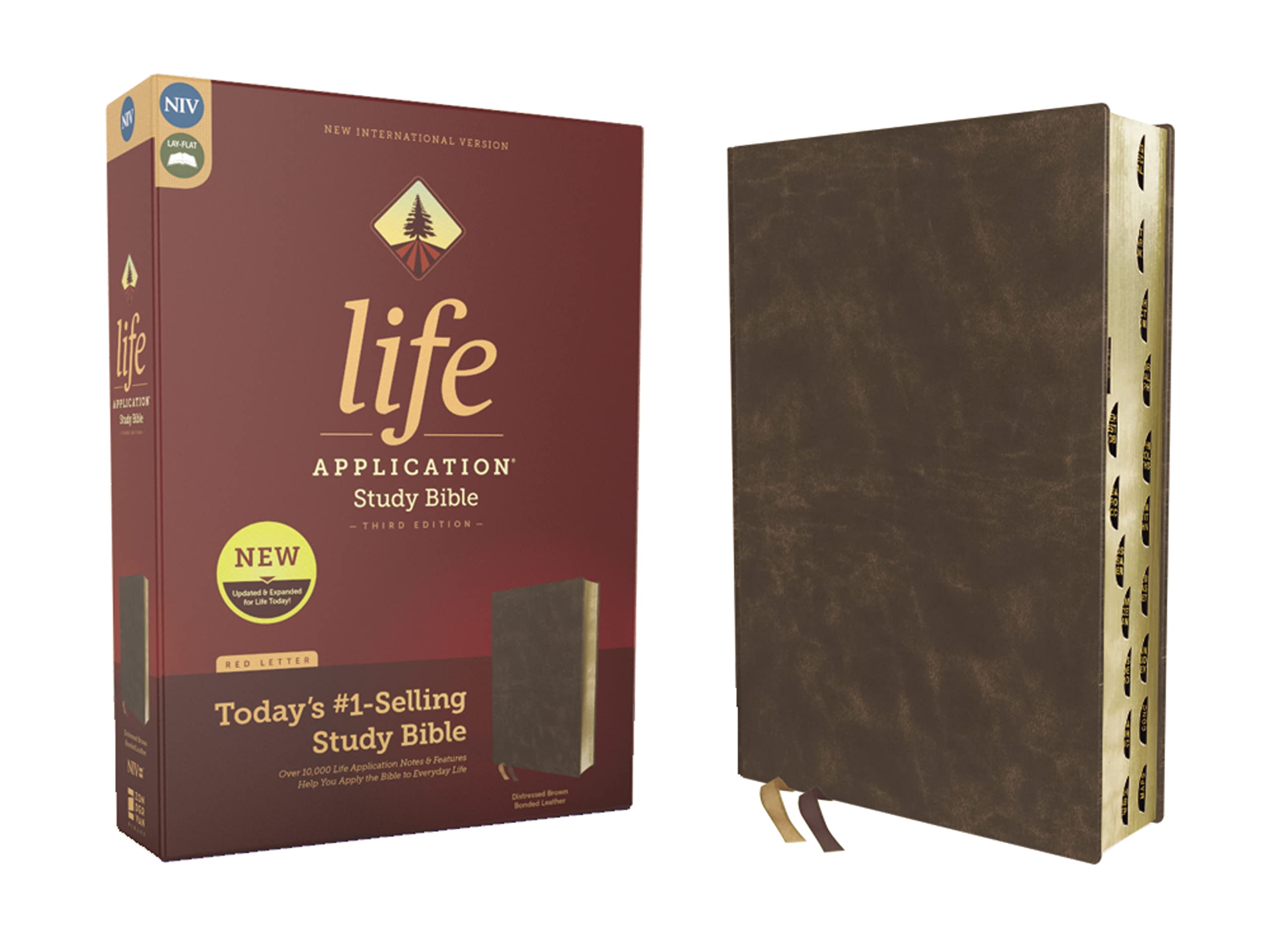 Life Application Study Bible Third Edition: New International Version ...