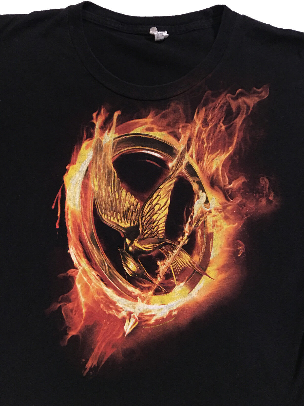 The Hunger Games T-Shirt | Green Valley Book Fair