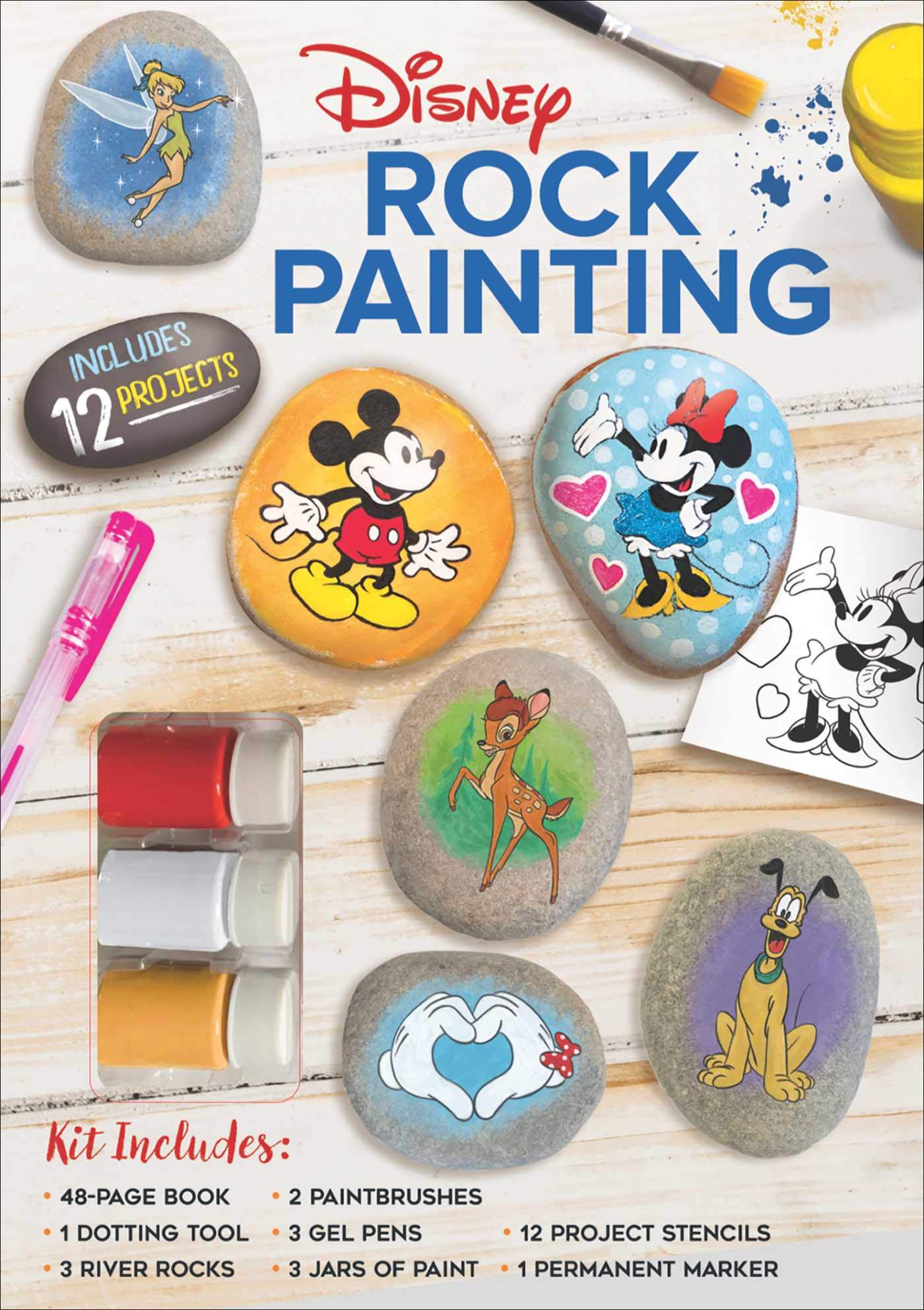 Disney Rock Painting: Includes 12 Projects | Green Valley Book Fair