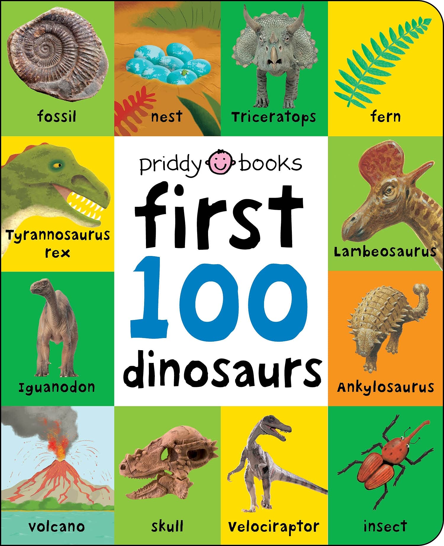First 100 Dinosaurs | Green Valley Book Fair