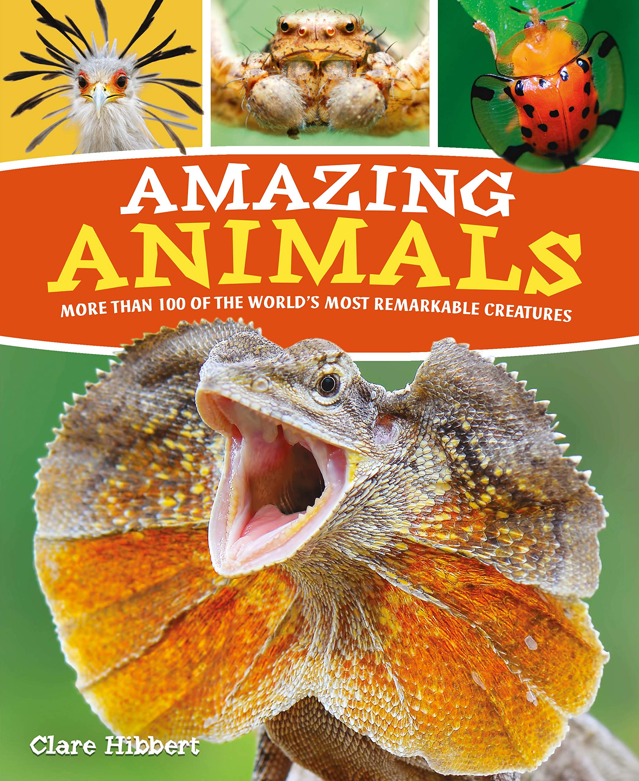 Amazing Animals: More Than 100 of the World’s Most Remarkable Creatures ...