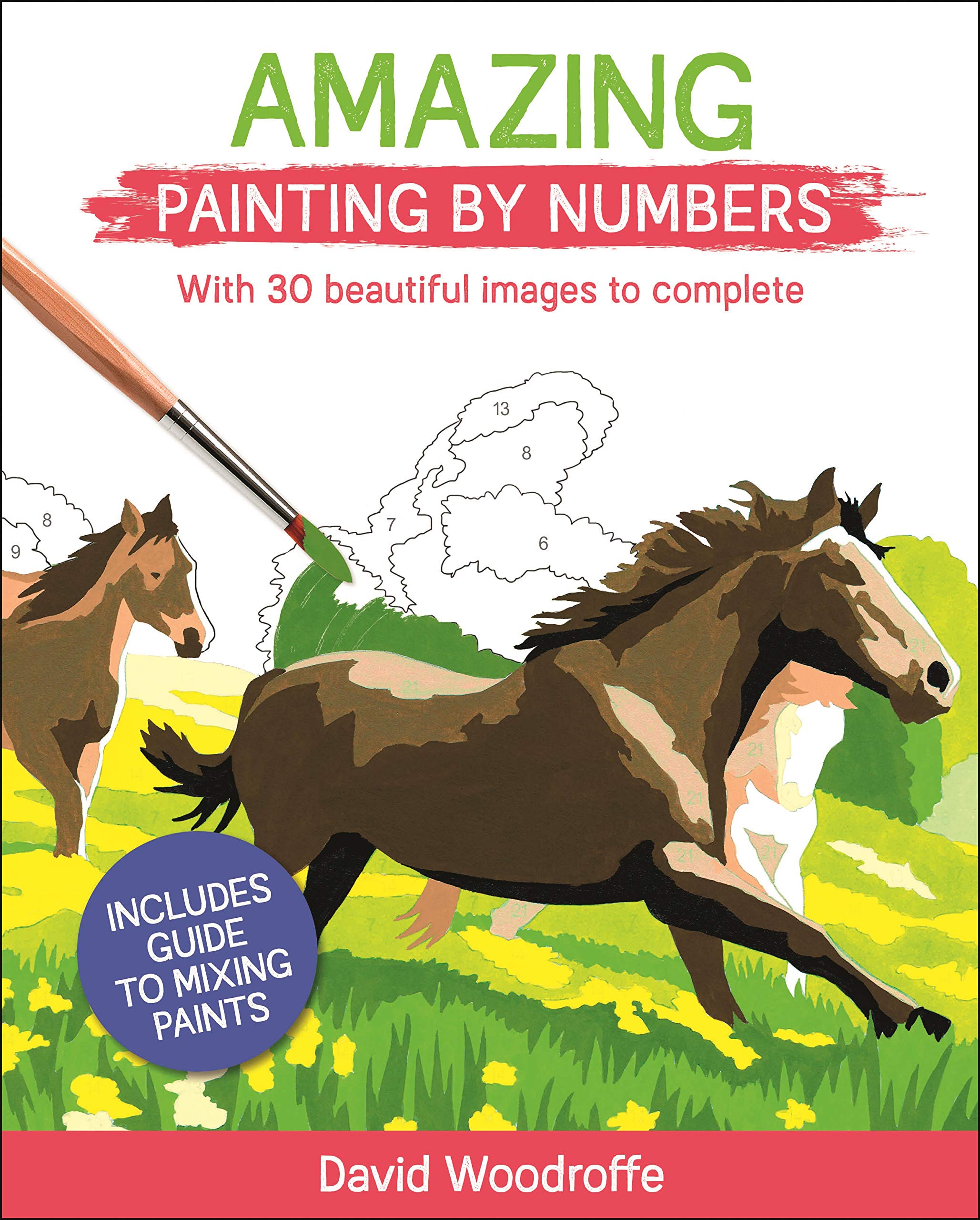 Amazing Paint By Numbers: With 30 Beautiful Images to Complete | Green ...