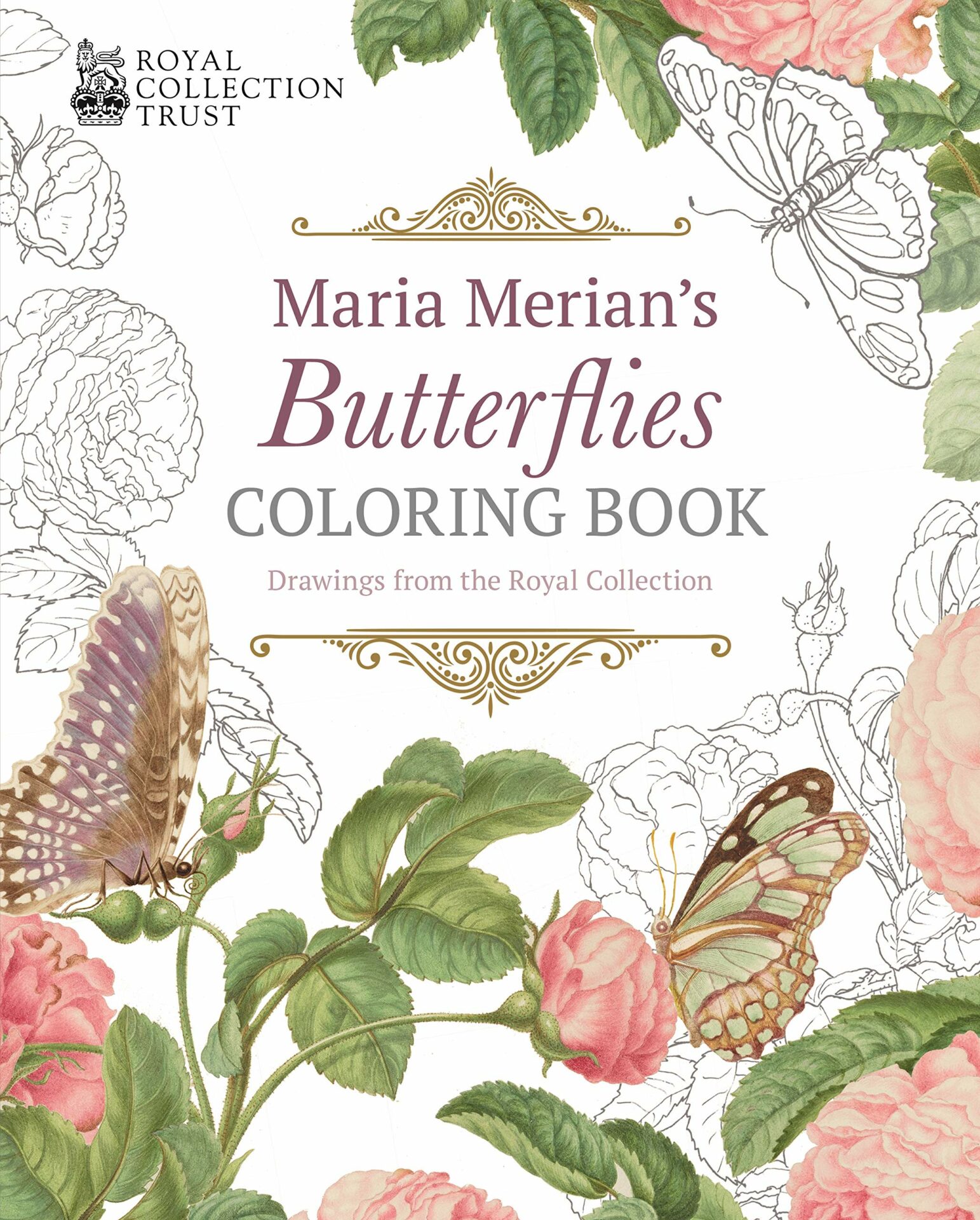 Maria Merian’s Butterflies Coloring Book: Drawings from the Royal ...