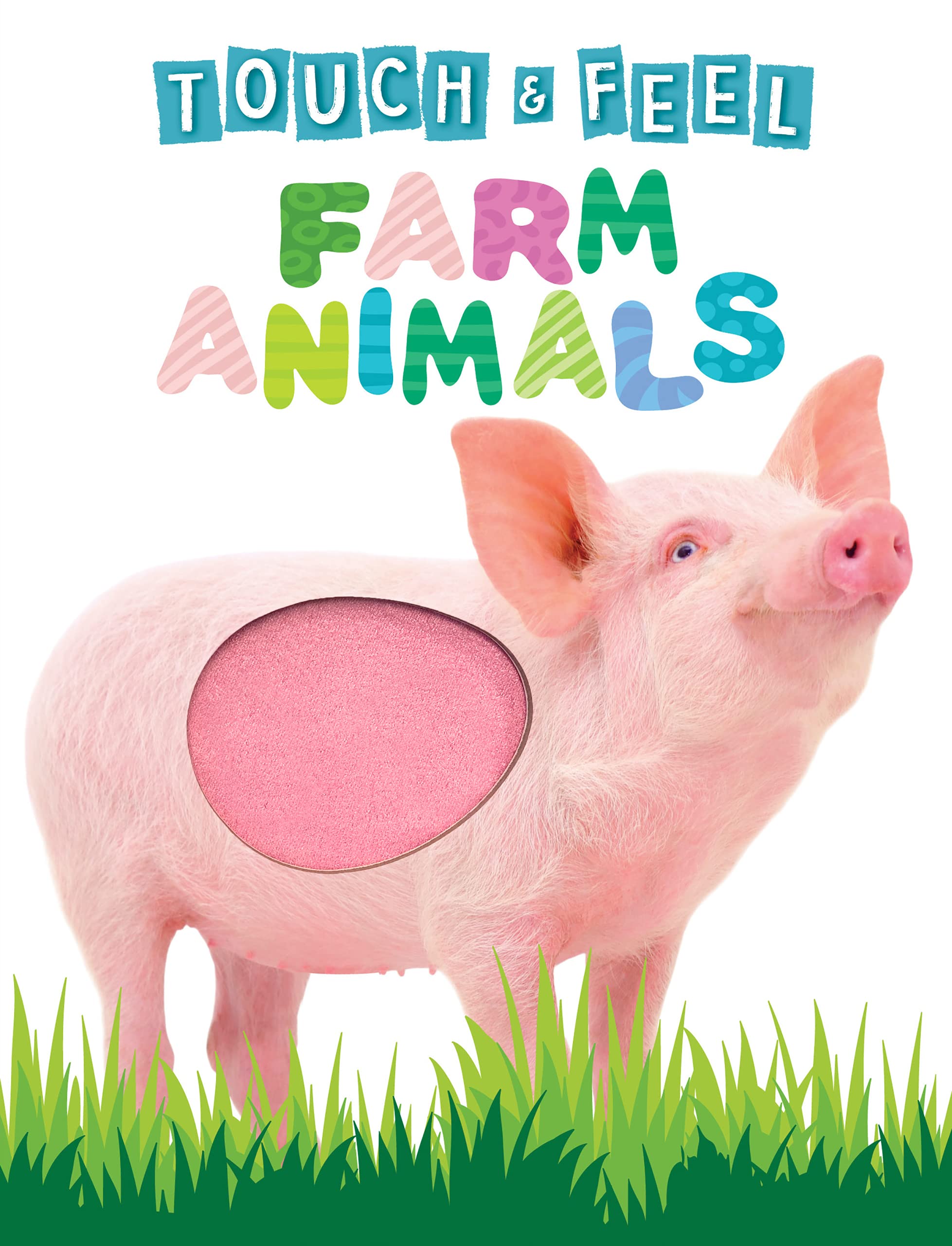 Touch & Feel Farm Animals: Touch and Feel Sensory Board Book | Green ...