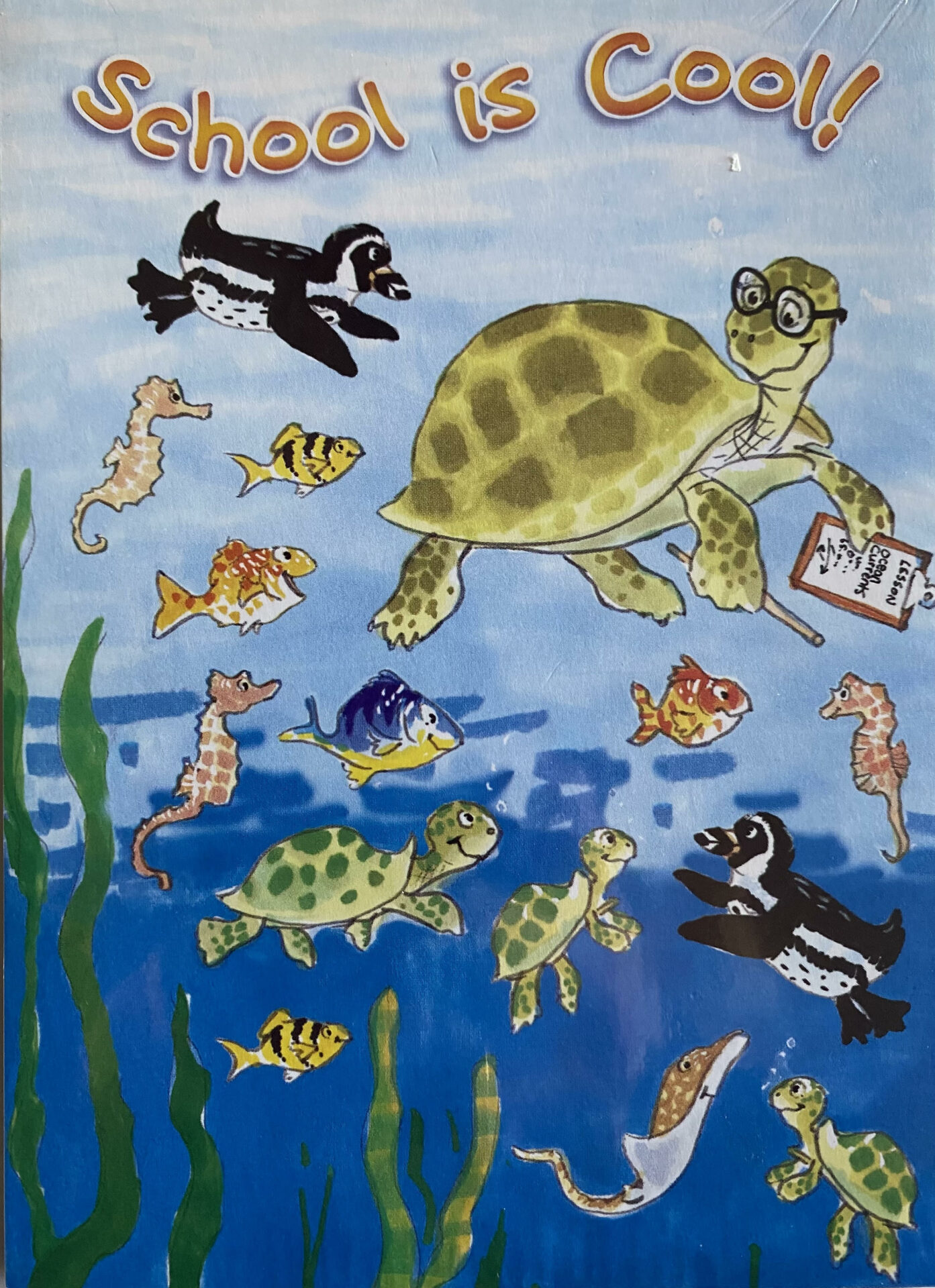 “School is Cool” Teacher Cards: 36 Postcards Per Package | Green Valley ...