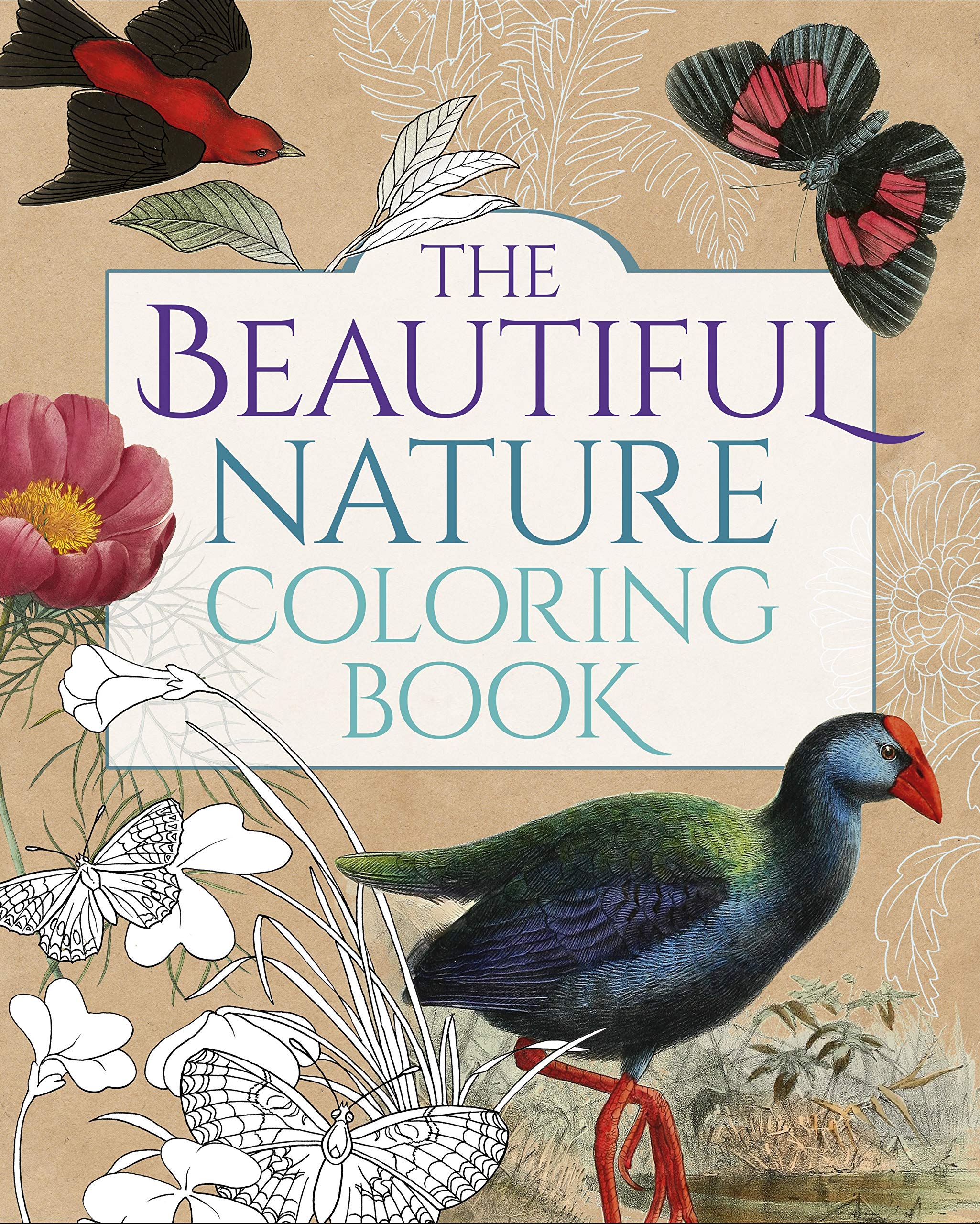 The Beautiful Nature Coloring Book | Green Valley Book Fair
