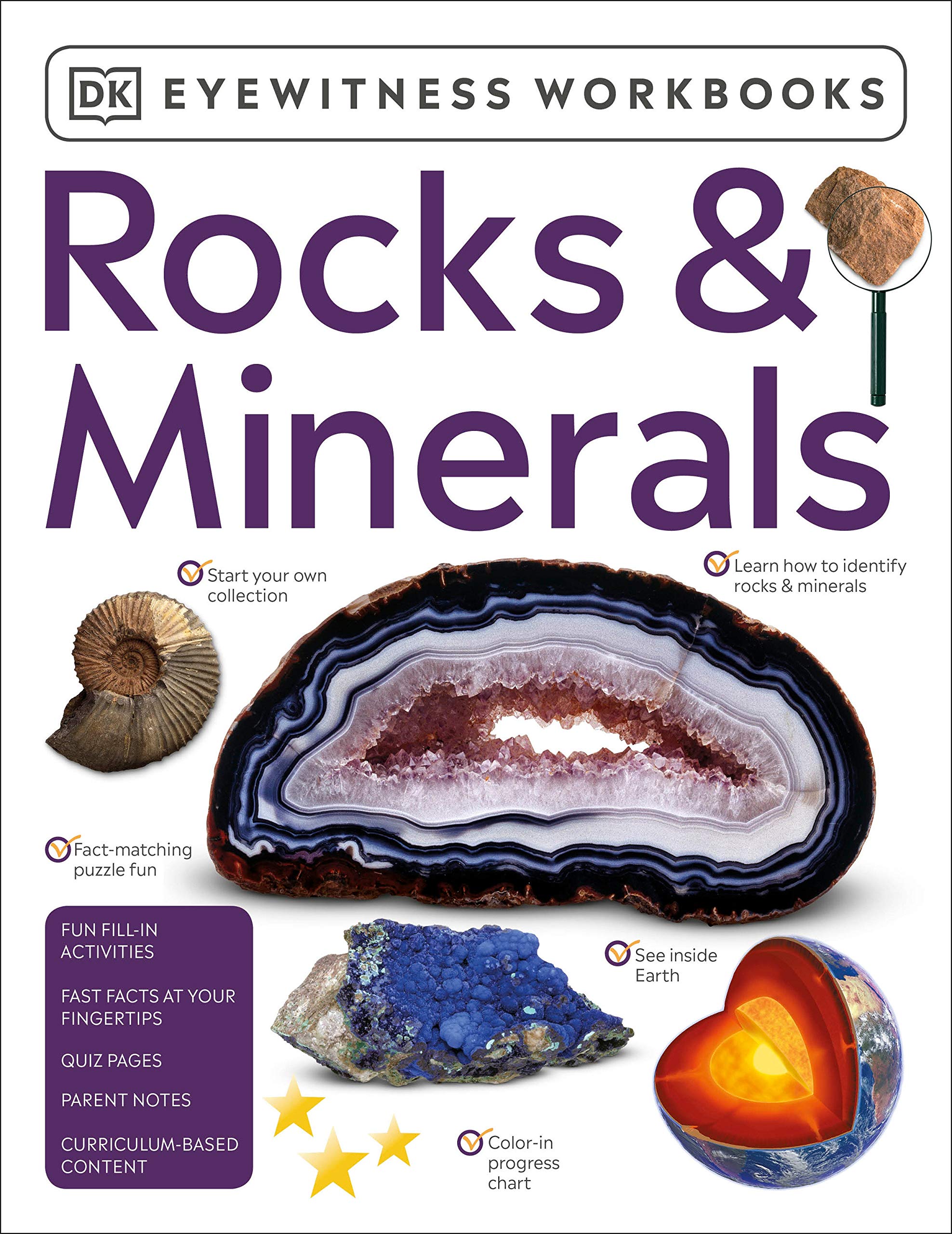 Rocks & Minerals: DK Eyewitness Workbooks | Green Valley Book Fair
