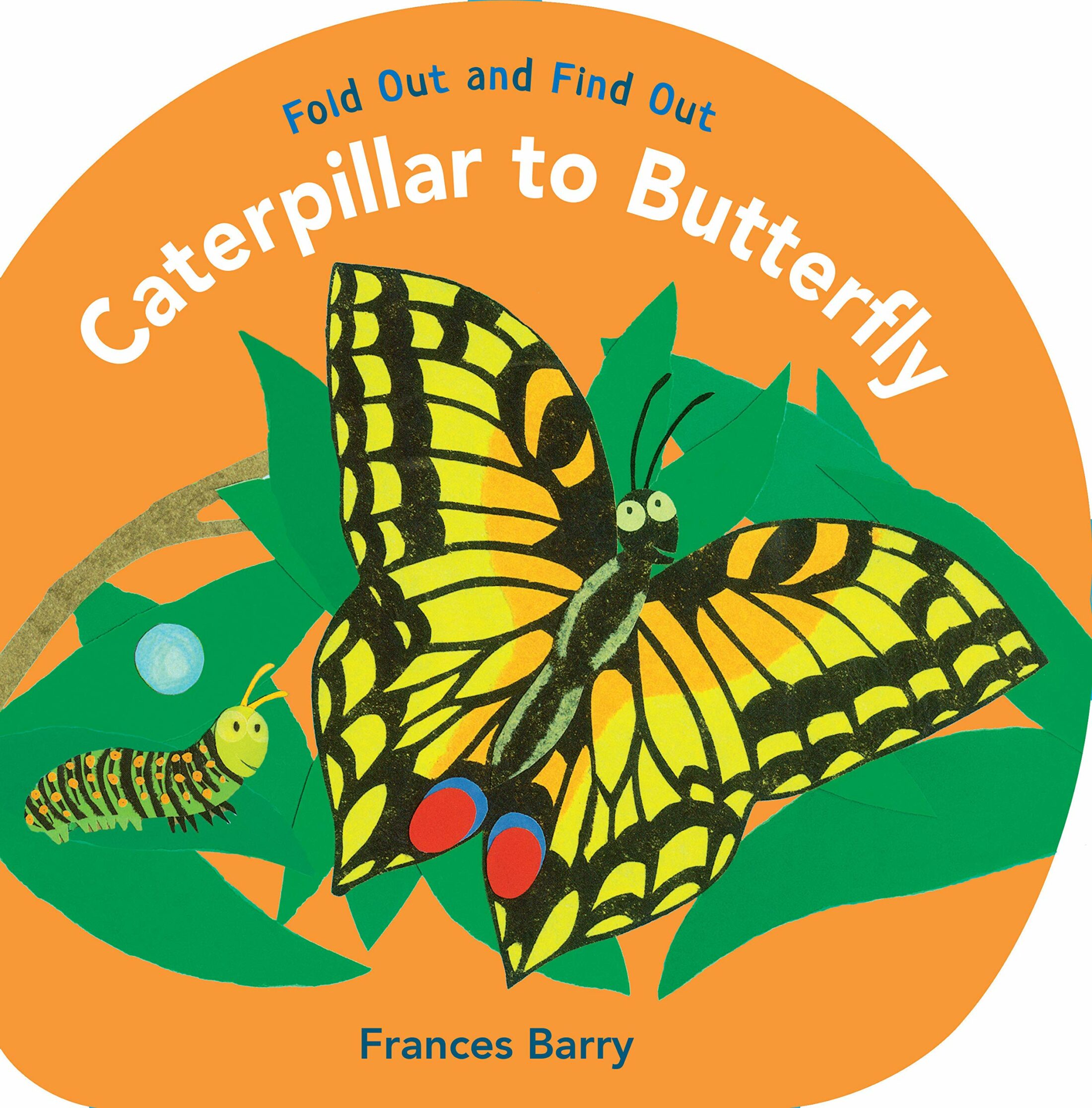 Fold Out and Find Out: Caterpillar to Butterfly | Green Valley Book Fair