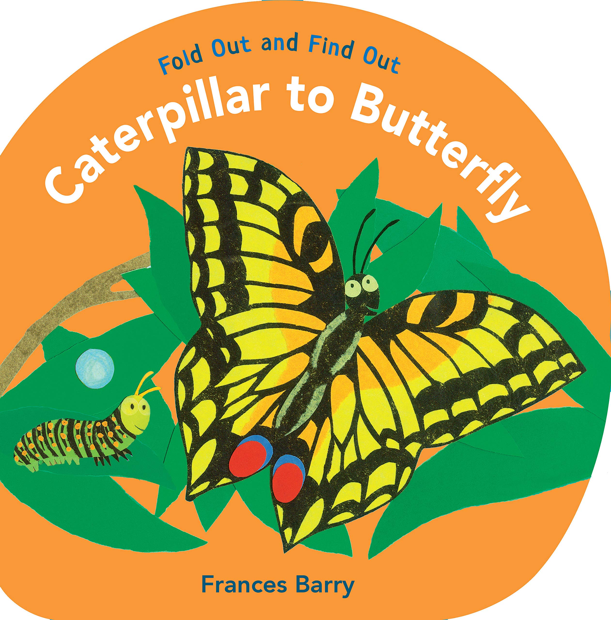Fold Out and Find Out: Caterpillar to Butterfly | Green Valley Book Fair