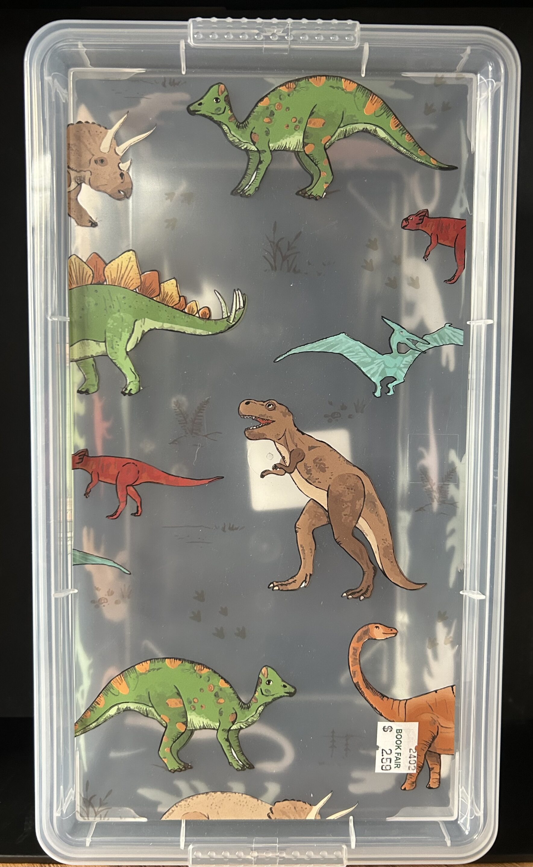 Dinosaur Storage Container 6.1 QT | Green Valley Book Fair
