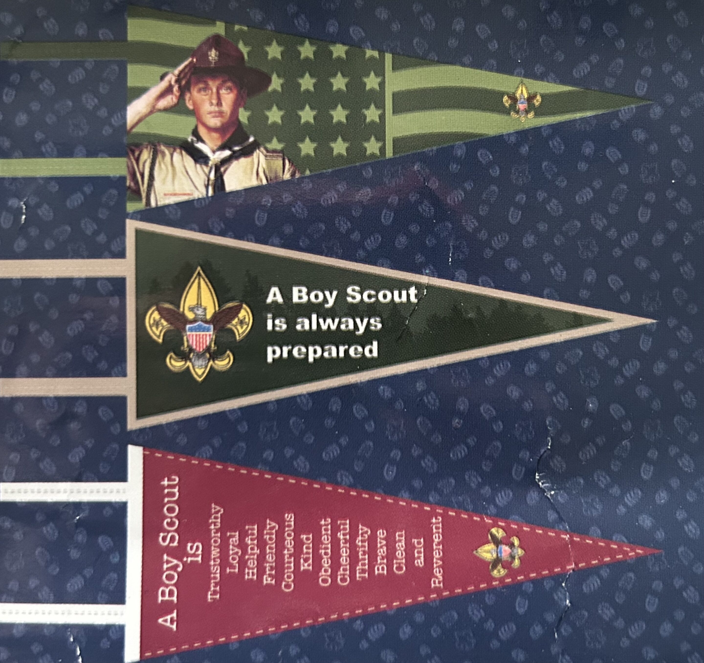 Boy Scouts of America Felt Wall Pennants | Green Valley Book Fair